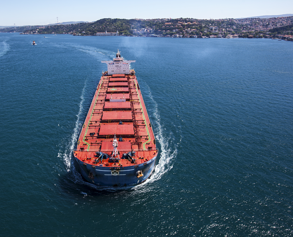 Future Proofing Bulk, Breakbulk, and General Cargo Operations with ...